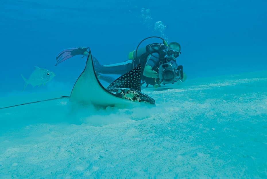 In Beeld: Bonaire - WWF Magazine - juni 2019